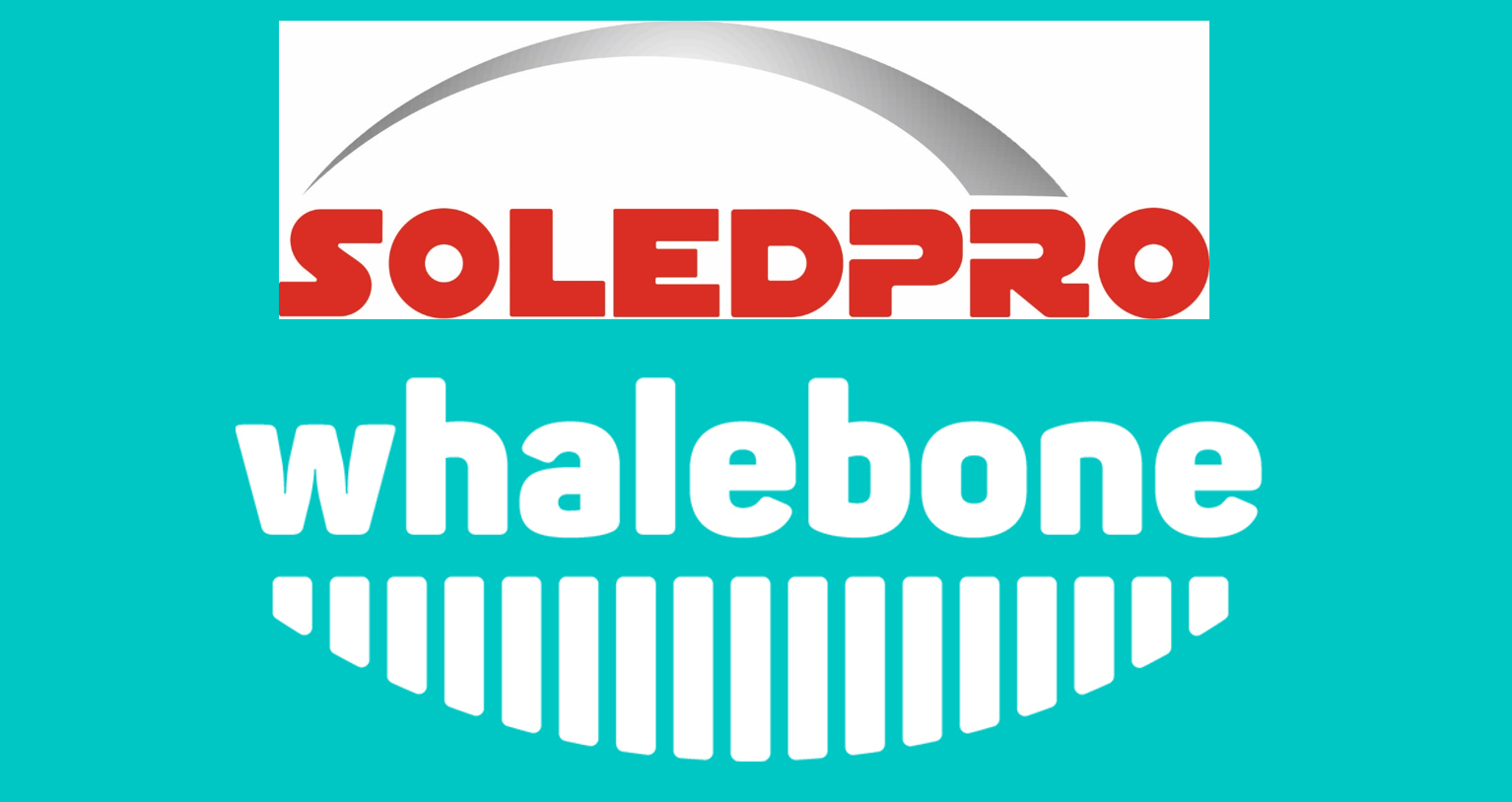 Whalebone – ochrana DNS překladu, nezastupitelná pro eliminaci aktivit ...